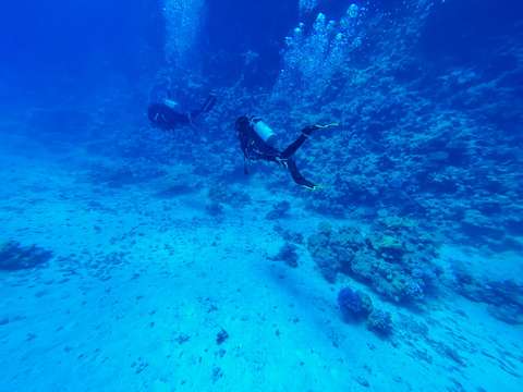 A Brief History of Diving and Snorkeling: From Ancient Times to Today ...